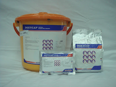 Obat Hewan & Vaksin Unggas: DOXYCAP
