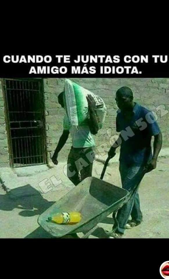 Memes más graciosos que te ara reír dale un vistazo