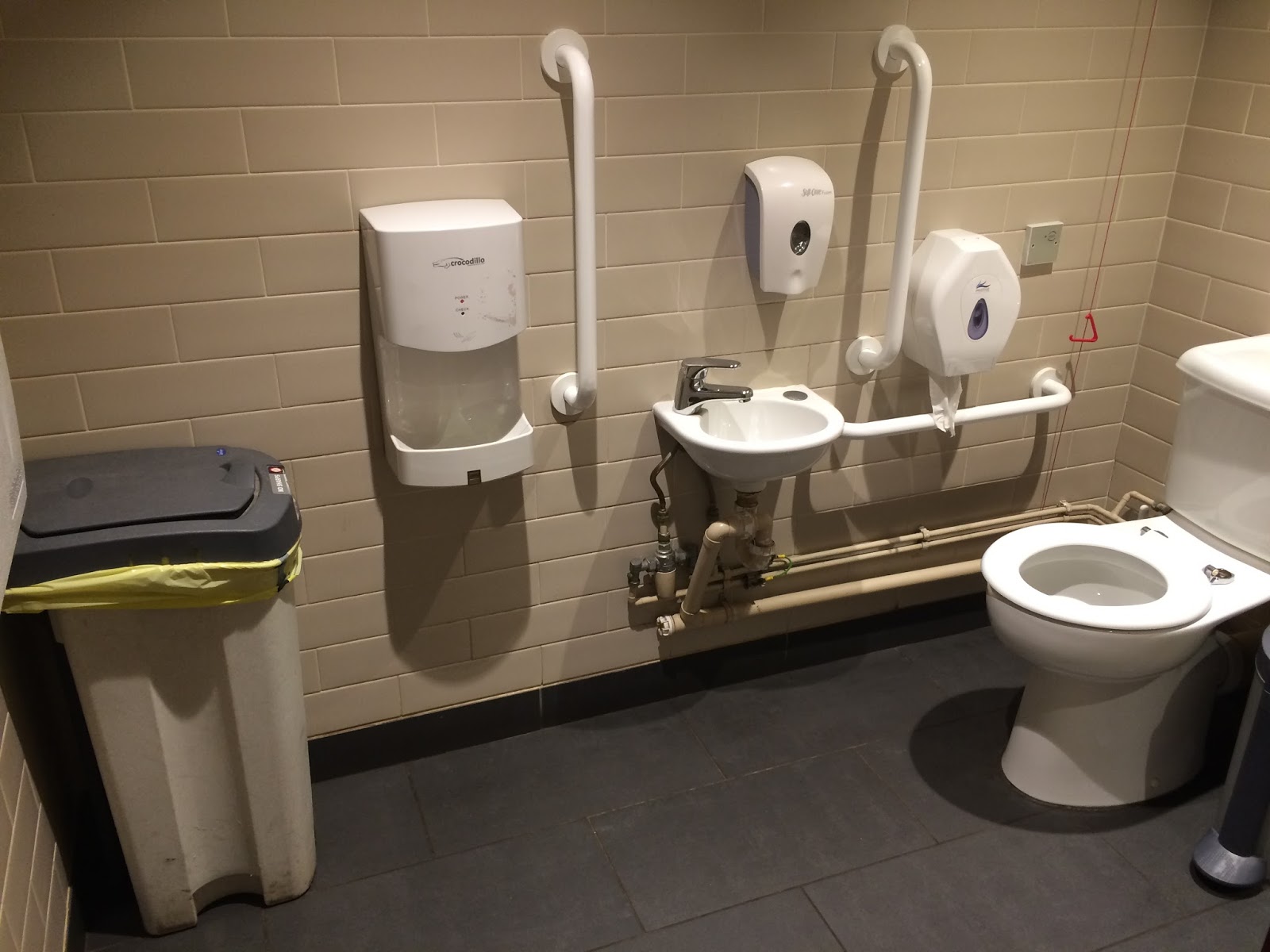 Life with Chickenruby: Disabled toilets in the UK - JD Wetherspoon, I'm ...