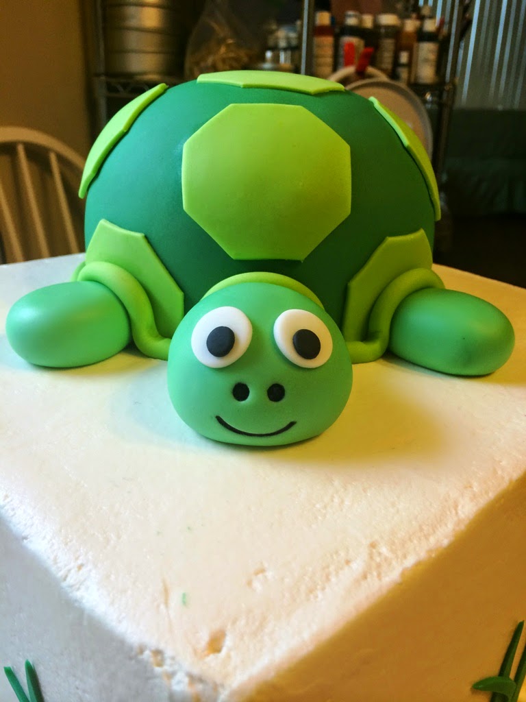 Turtle Round Cakes