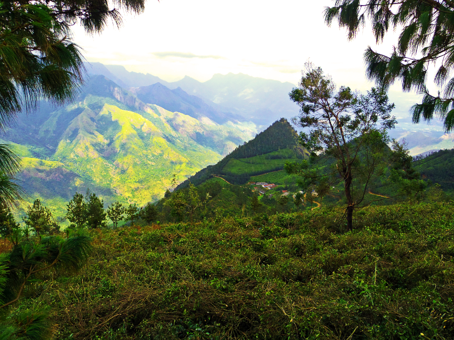 Tamilnadu Tourism: Kolukkumalai