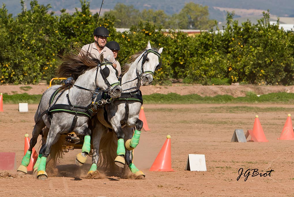 fotografias: Derrape en la curva