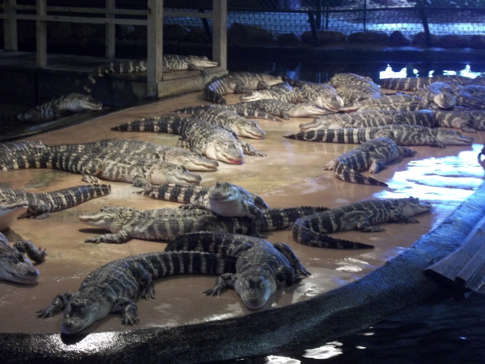 95 Things to do on 95