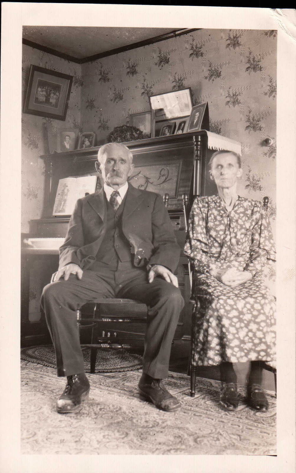 Our Van Hout/Stodolski Family Branches: The Scheele Clan