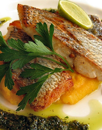 Scrumpdillyicious: Pan Roasted Snapper & Butternut Squash Purée