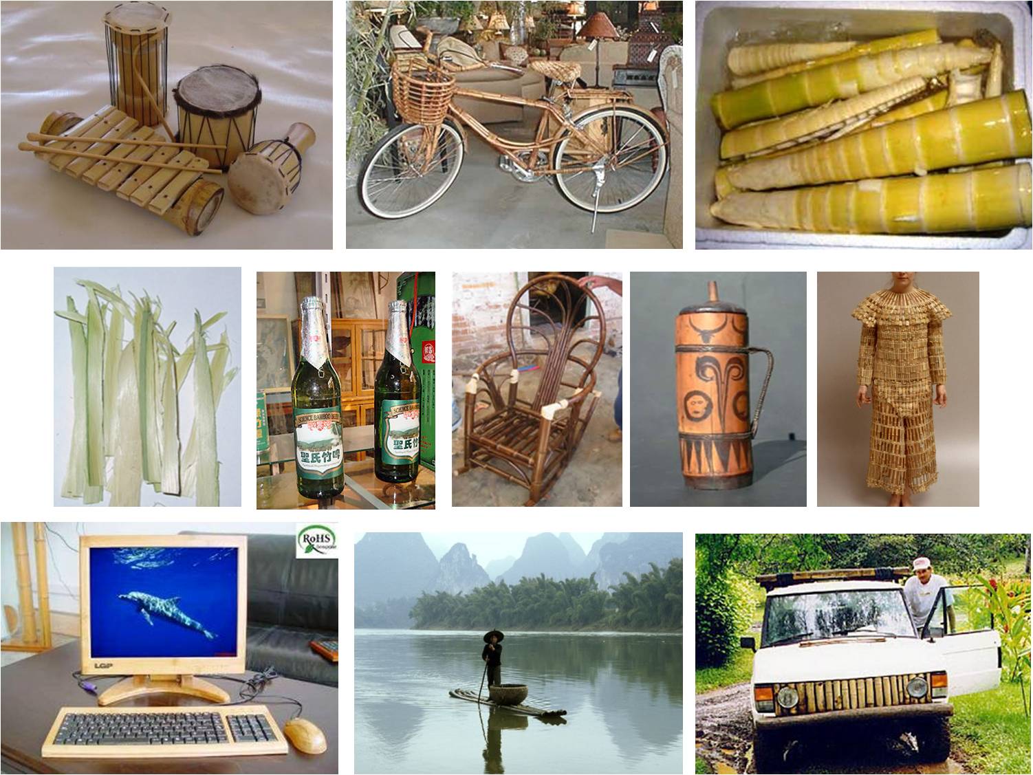 eco aventura puebla: Los usos del bambú en México