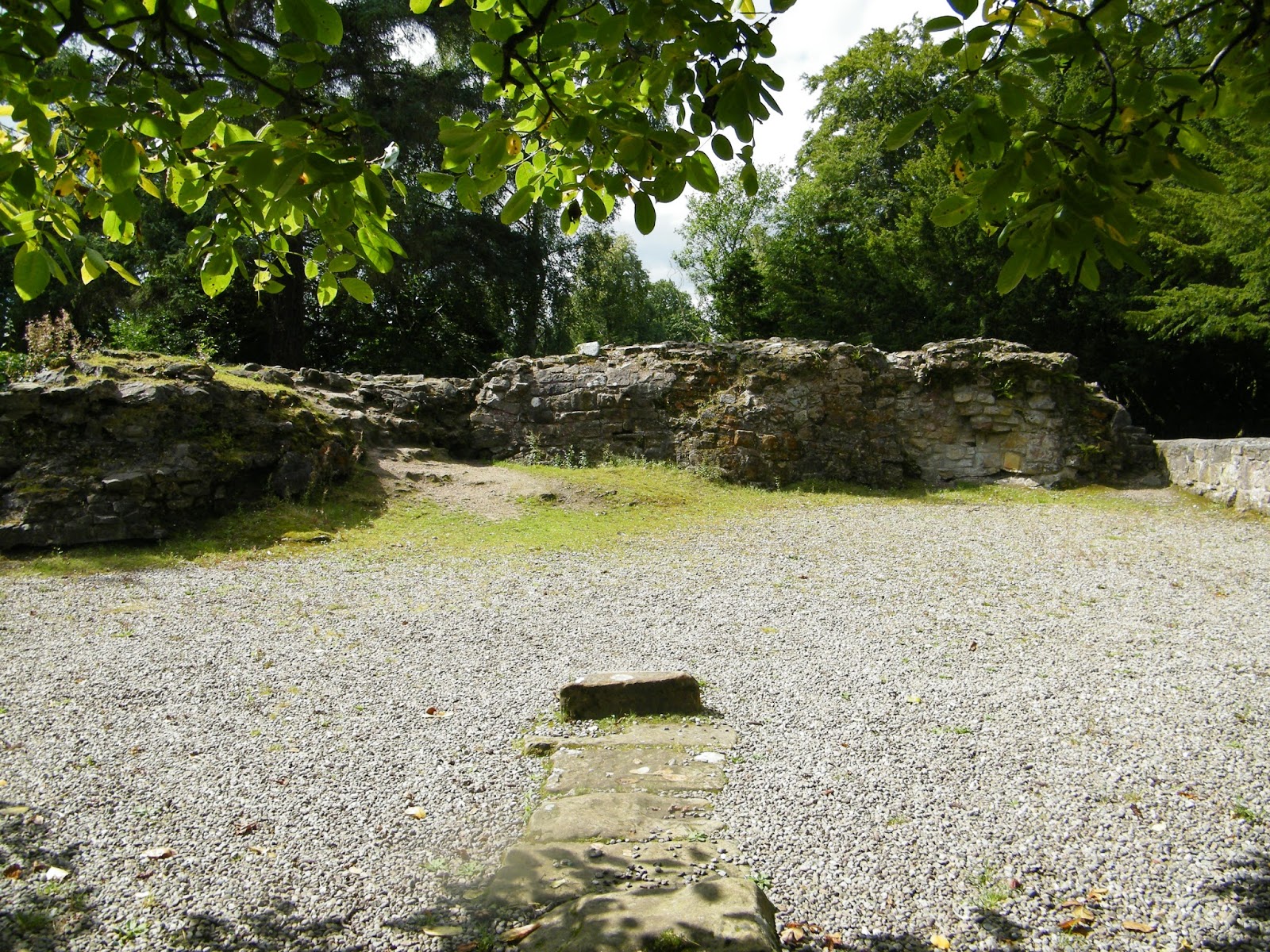 Casting Light upon the Shadow: Anglo-Saxons in the Scottish Court ...