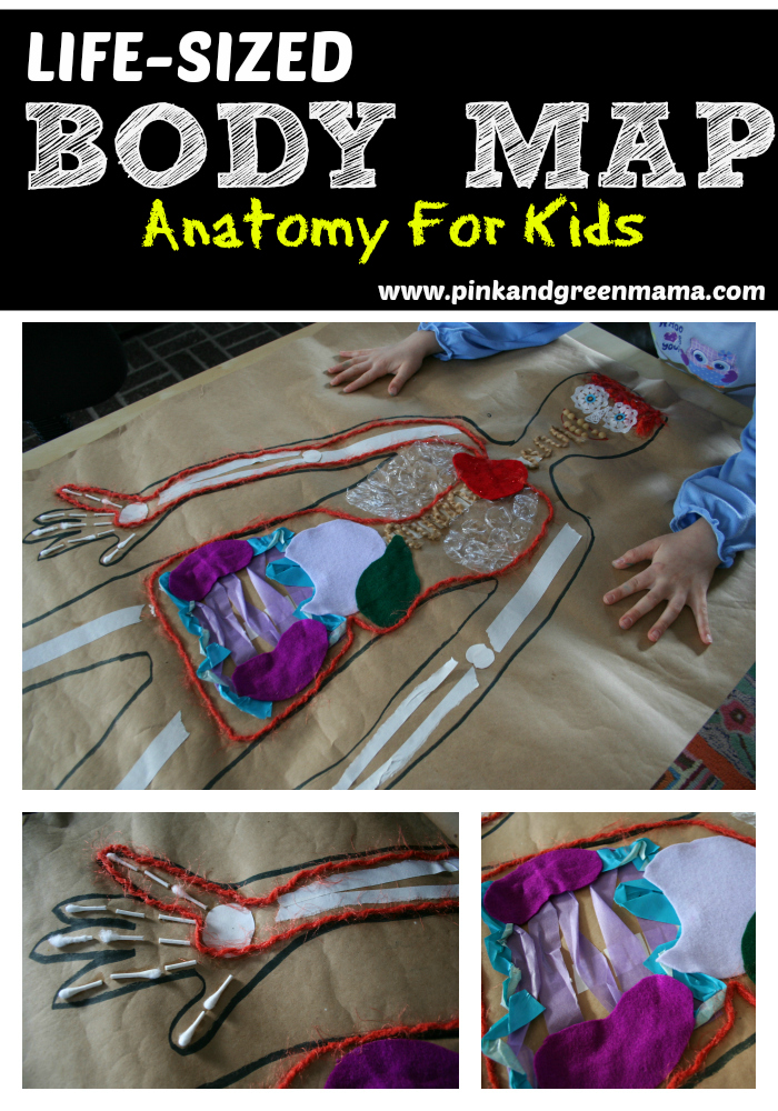 Pink and Green Mama: * Life-Sized Body Maps Mixed Media Craftivity