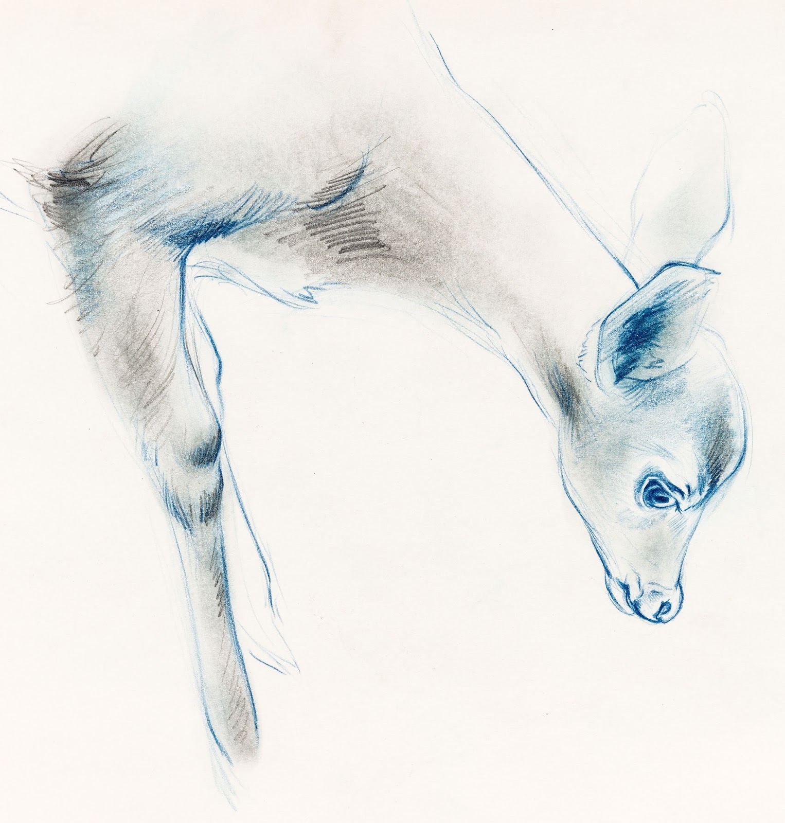 Deja View: More Bambi Art