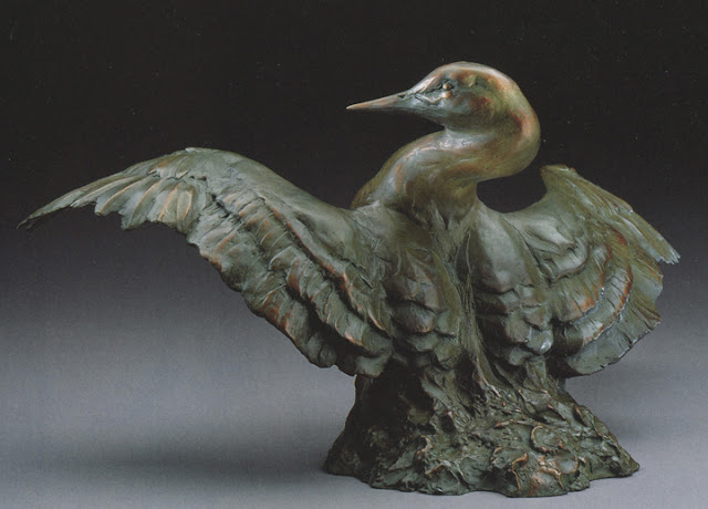 Sandy Scott Art: #417 In the studio: Bird anatomy, con't