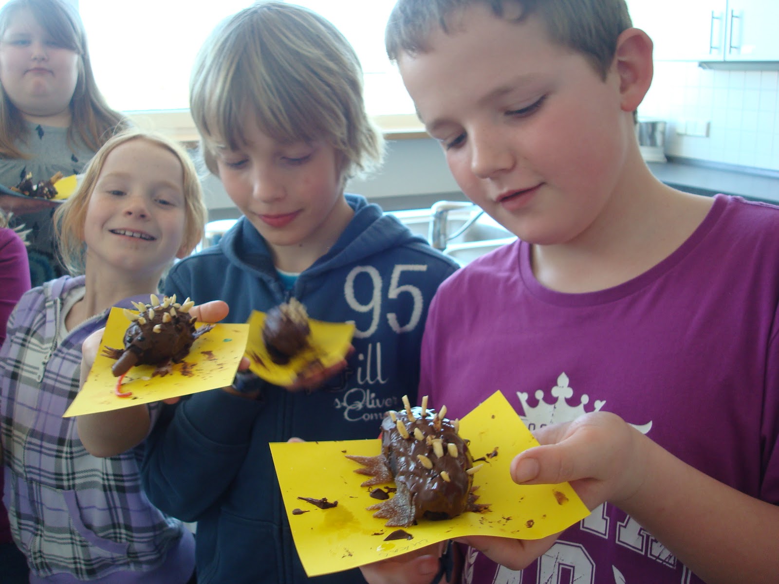 Kangaroos and Lederhosen: Echidna Cake Pops