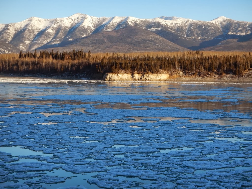 Wilderness Life in Canada's Yukon Territory: Winter has arrived!