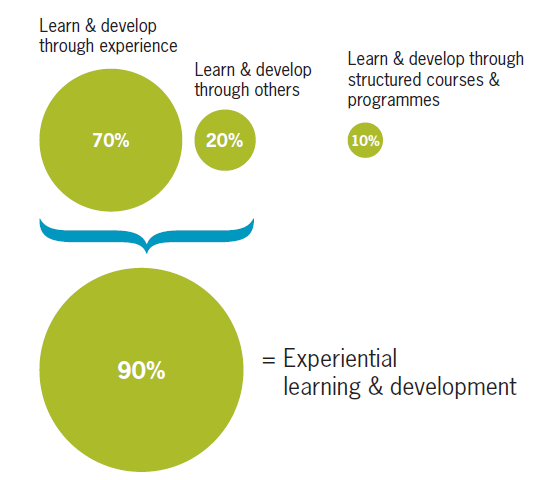 Learning Organization: Learning Organization