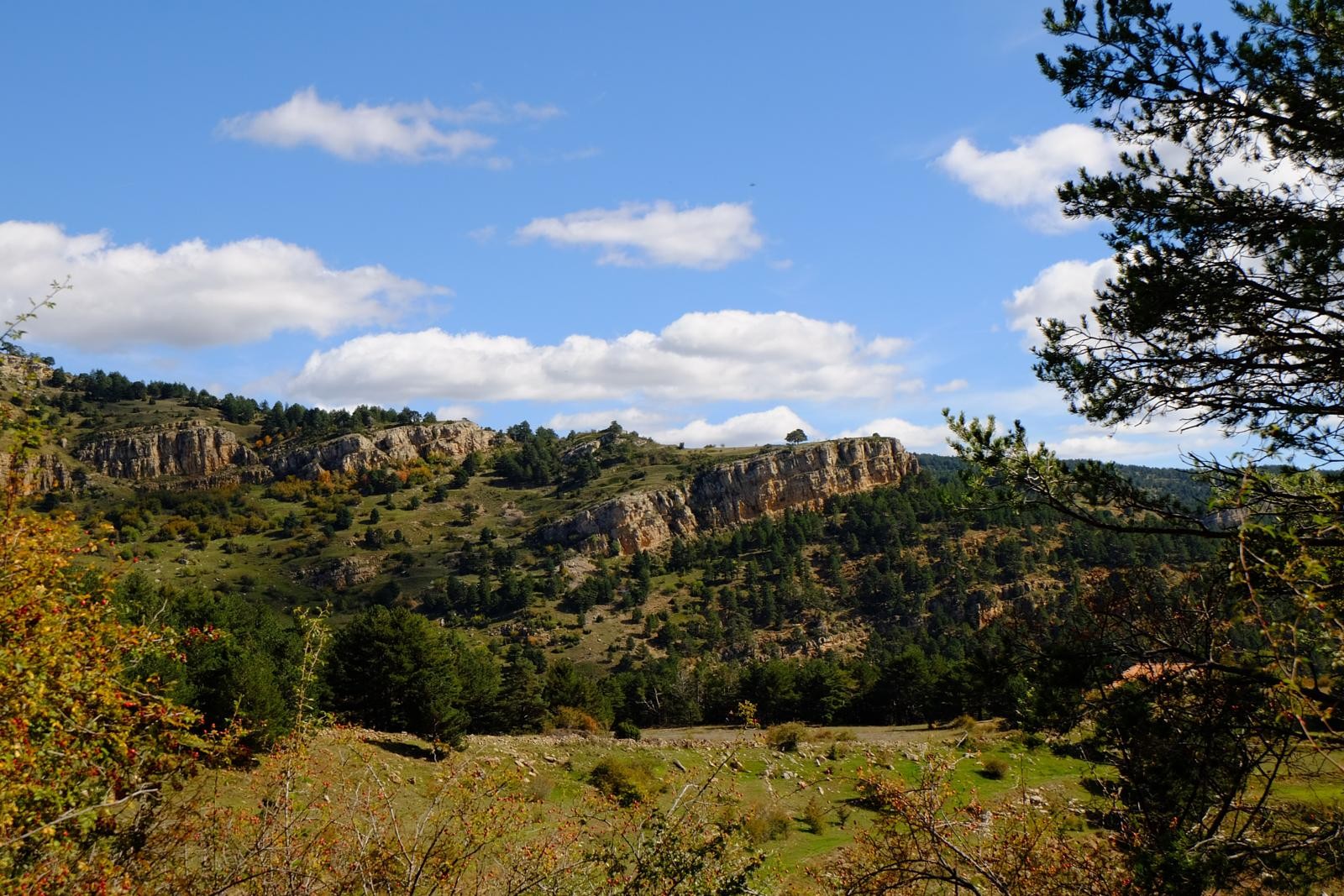 LINARES ~ LENGUA CHURRA