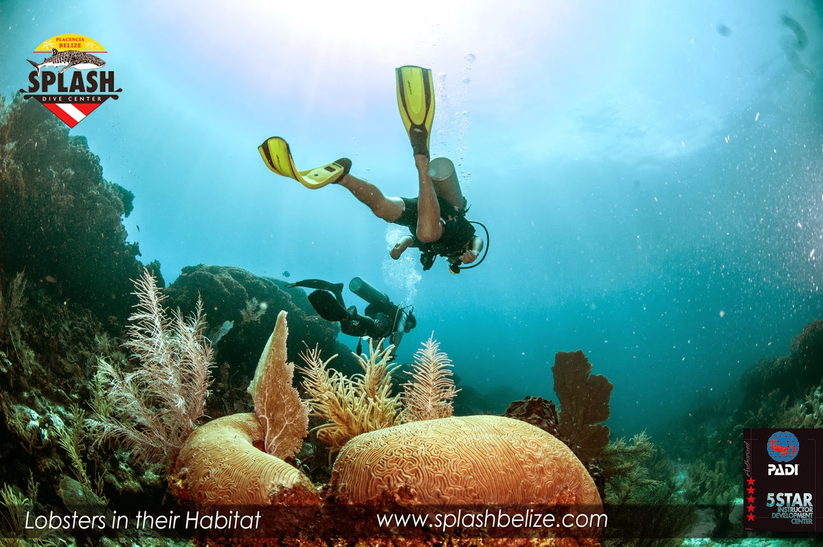 Scuba Diving In Belize book your next adventure with us!: Belize vacation