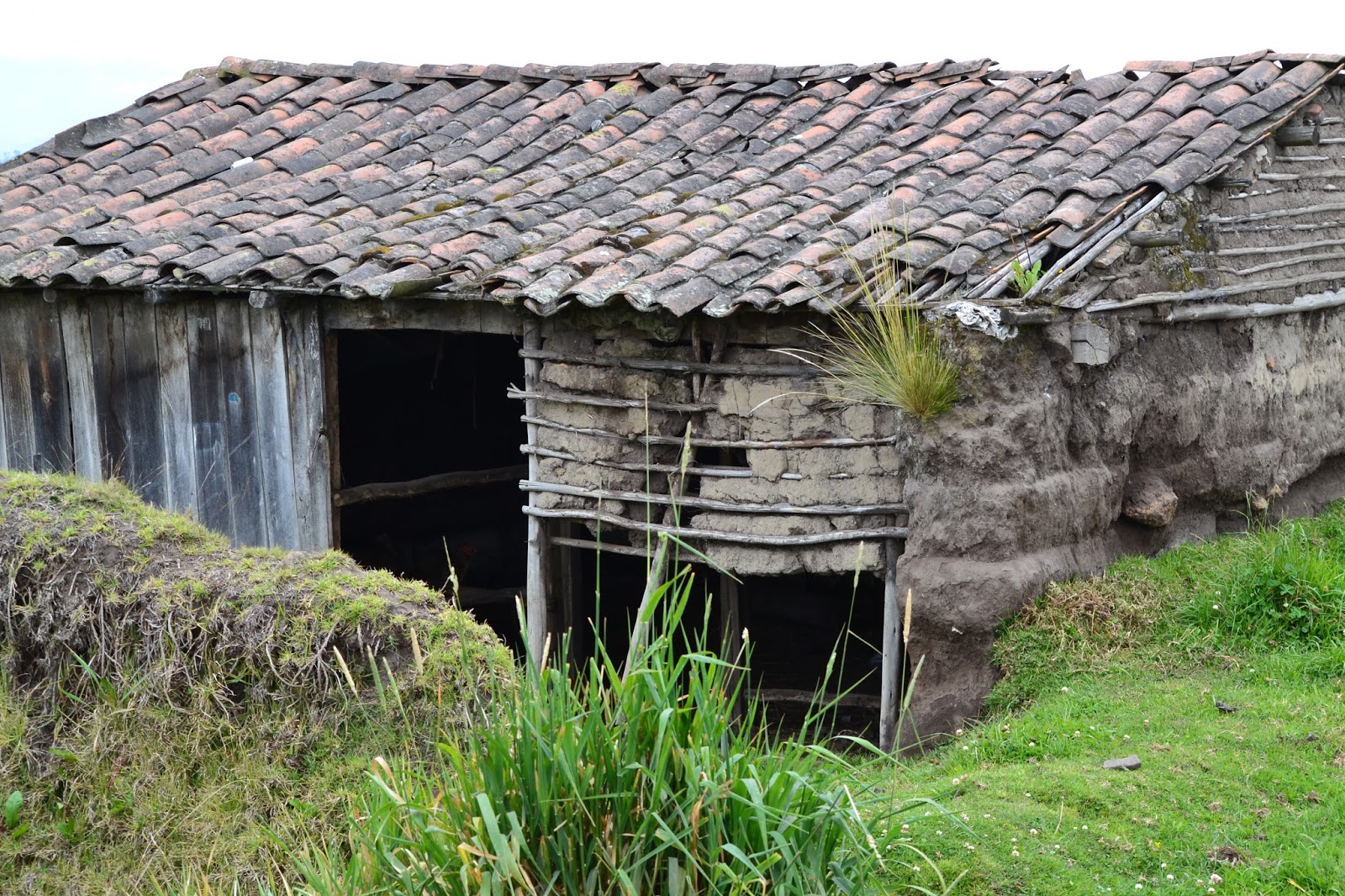 va de fibras : CONSTRUCCIÓN TRADICIONAL DE BAHAREQUE