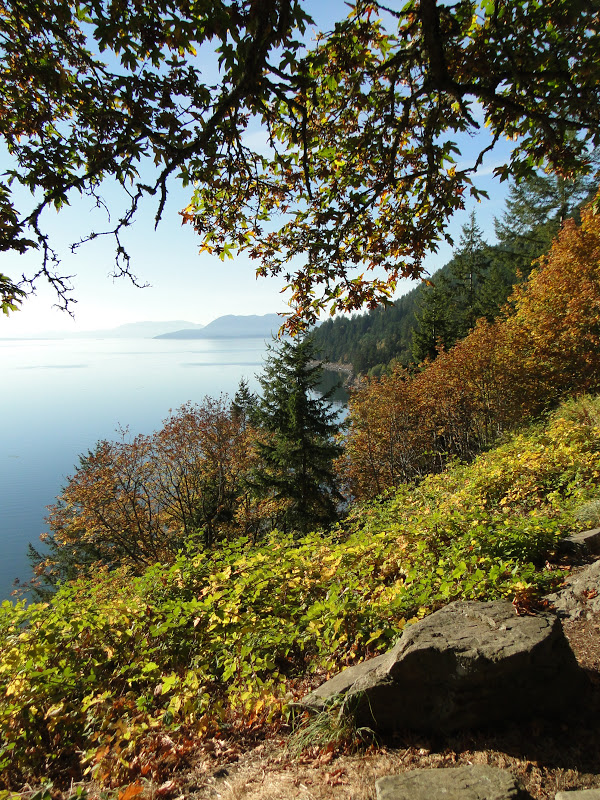 Milepost167: Chuckanut Drive and Larrabee State Park