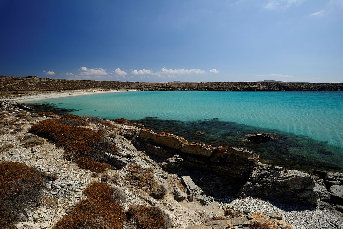 P'acá y p'allá: Rinia. Cenerentola batte tutti.