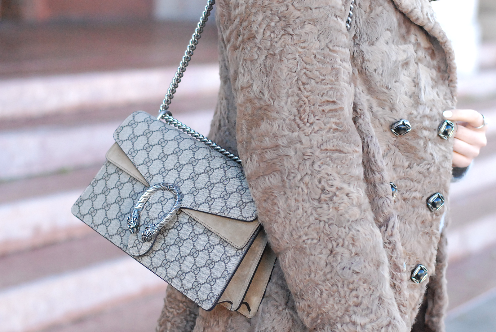 Gucci Dionysus - Boulevard de Prague