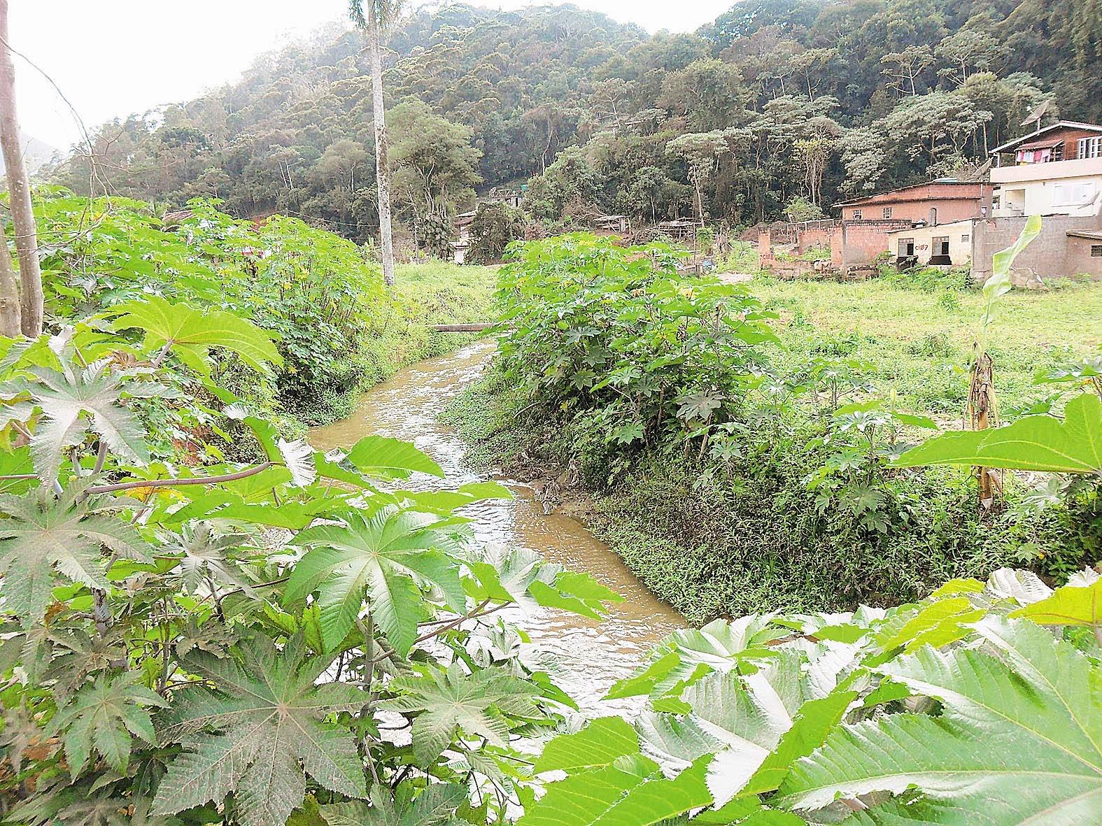 Blog Miracema.RJ: Limpa Rio investe mais de R$ 65 milhões em limpeza de ...