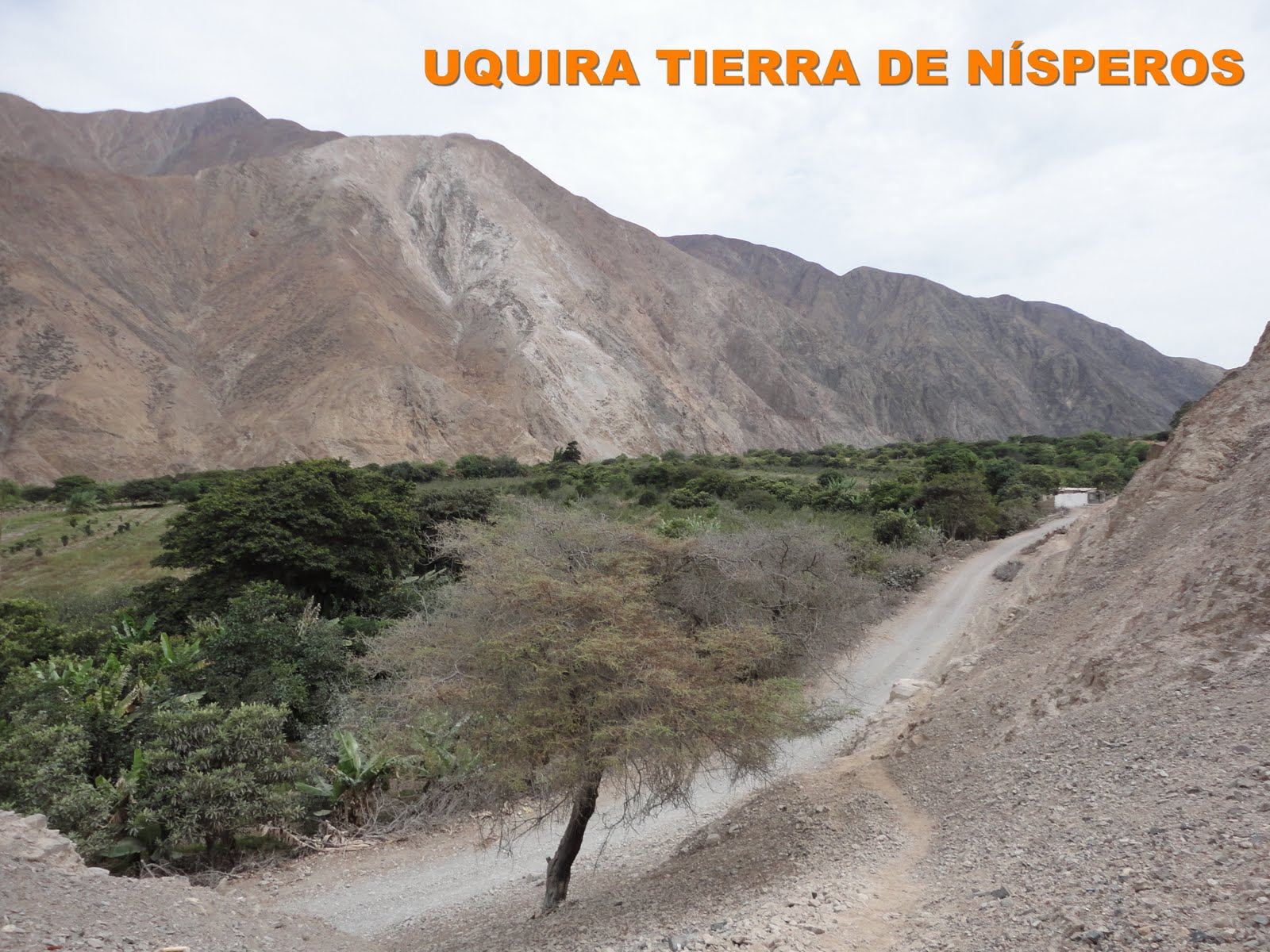 UQUIRA TIERRA DE NÍSPEROS: CAMINATA DE UQUIRA A YESERA
