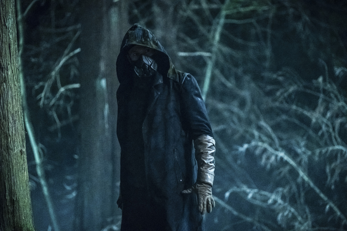 DC Geek House: cicada