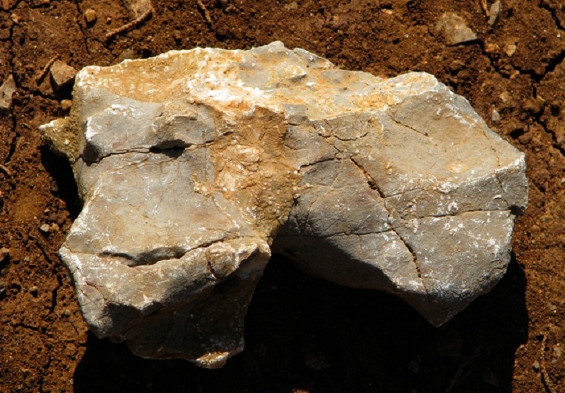 GCJim - El Chico, Veracruz : Pareidolia. Ver figuras o rostros donde no ...