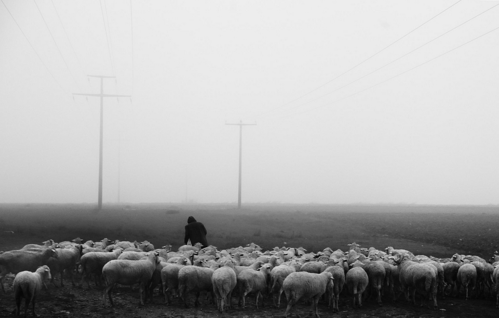 Slike | urbane legende,istinite strasne price i ukleta mesta