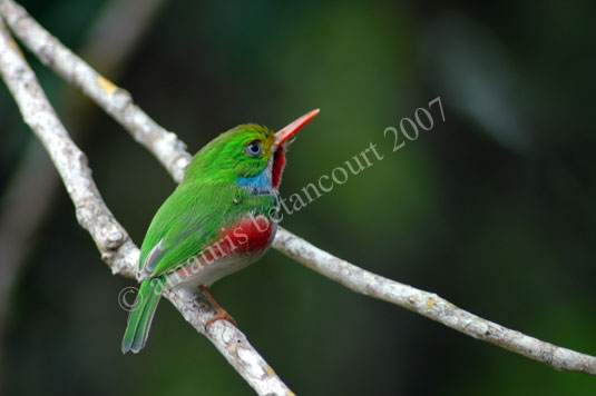 FlashCuba: PHOTOS ABOUT CUBA FROM HOLGUIN, AN EASTERN PROVINCE.: Gibara ...