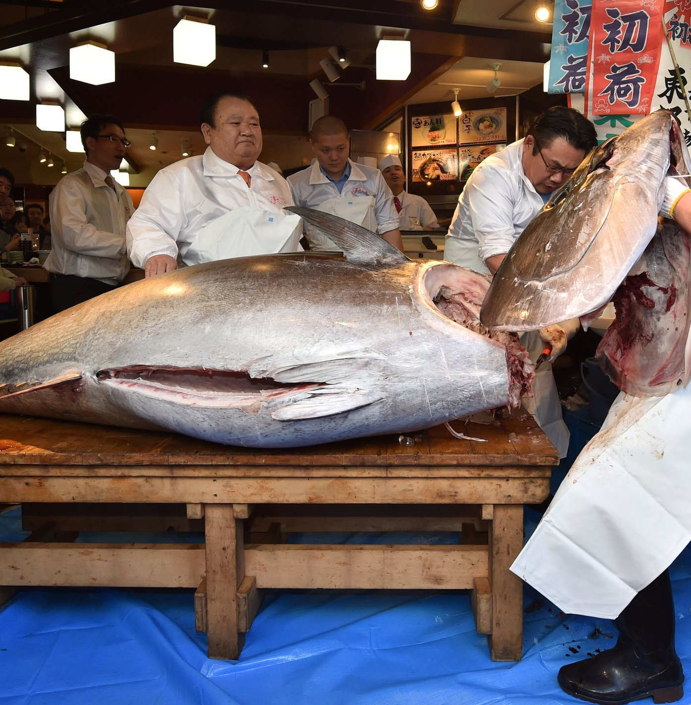 2,566,076 USD New Year's most expensive tuna 2020litenews, 라이트 뉴스 ...