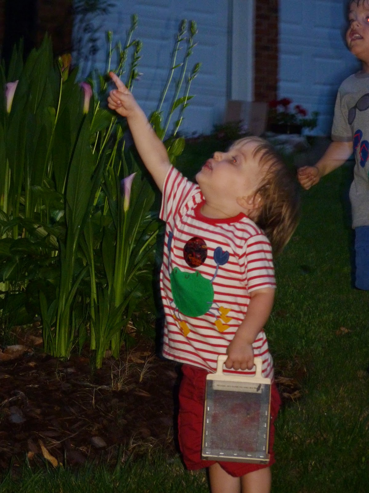 Wagers: Capturing Lightning Bugs