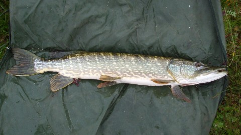 Homemade Lures On Test Again | How To Make Fishing Lures