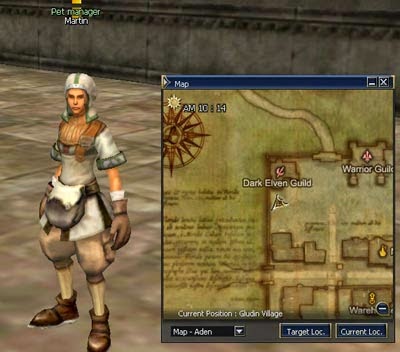 L2-Classic: Nivel 15 - Get a Pet