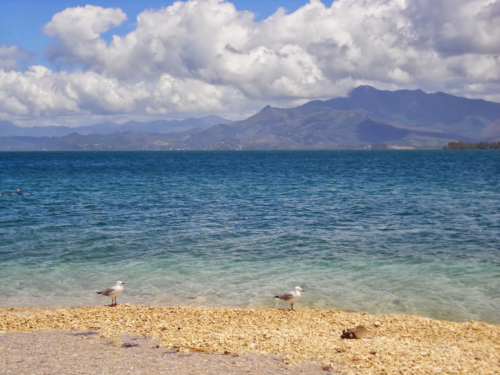 Sur ma route: Une journée sur l'îlot Charron