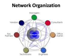Virtual vs Network Organization structure ~ Professional Shiksha