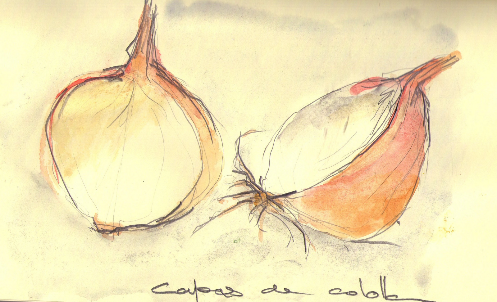 Pere Pich escultor: Las capas de cebolla