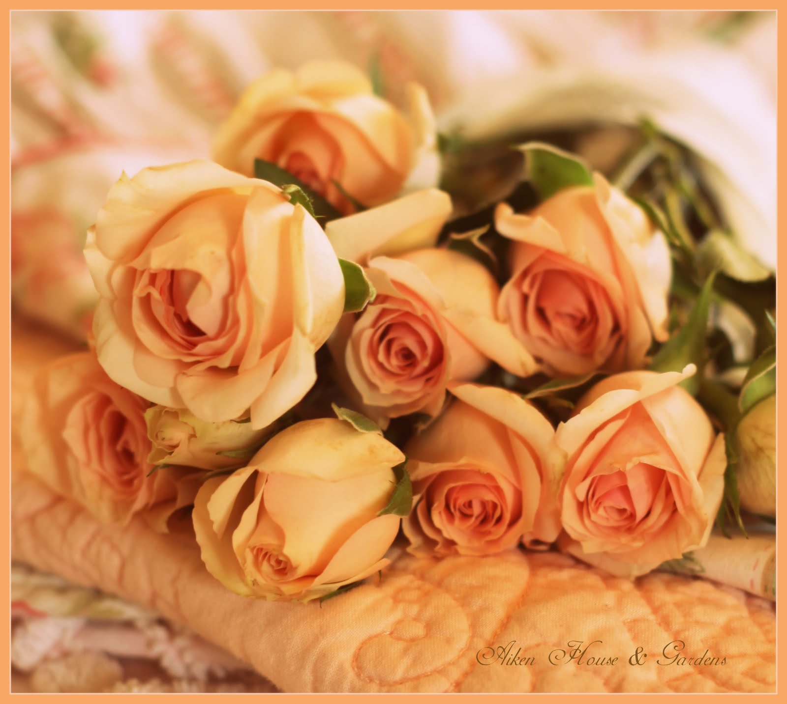 Aiken House & Gardens: Peachy Pinks