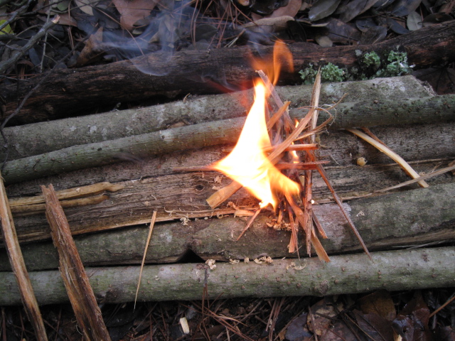 Wildcat Outdoors: BushClass Twig Bundle Fire