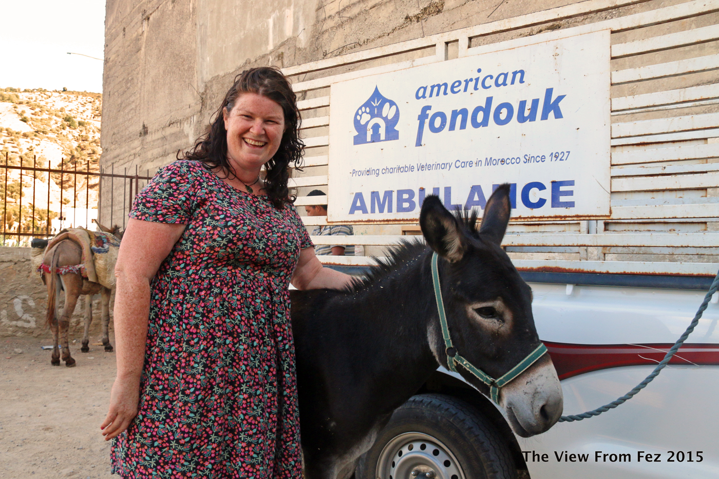 THE VIEW FROM FEZ: Another Great Donkey Day in Moulay Idriss