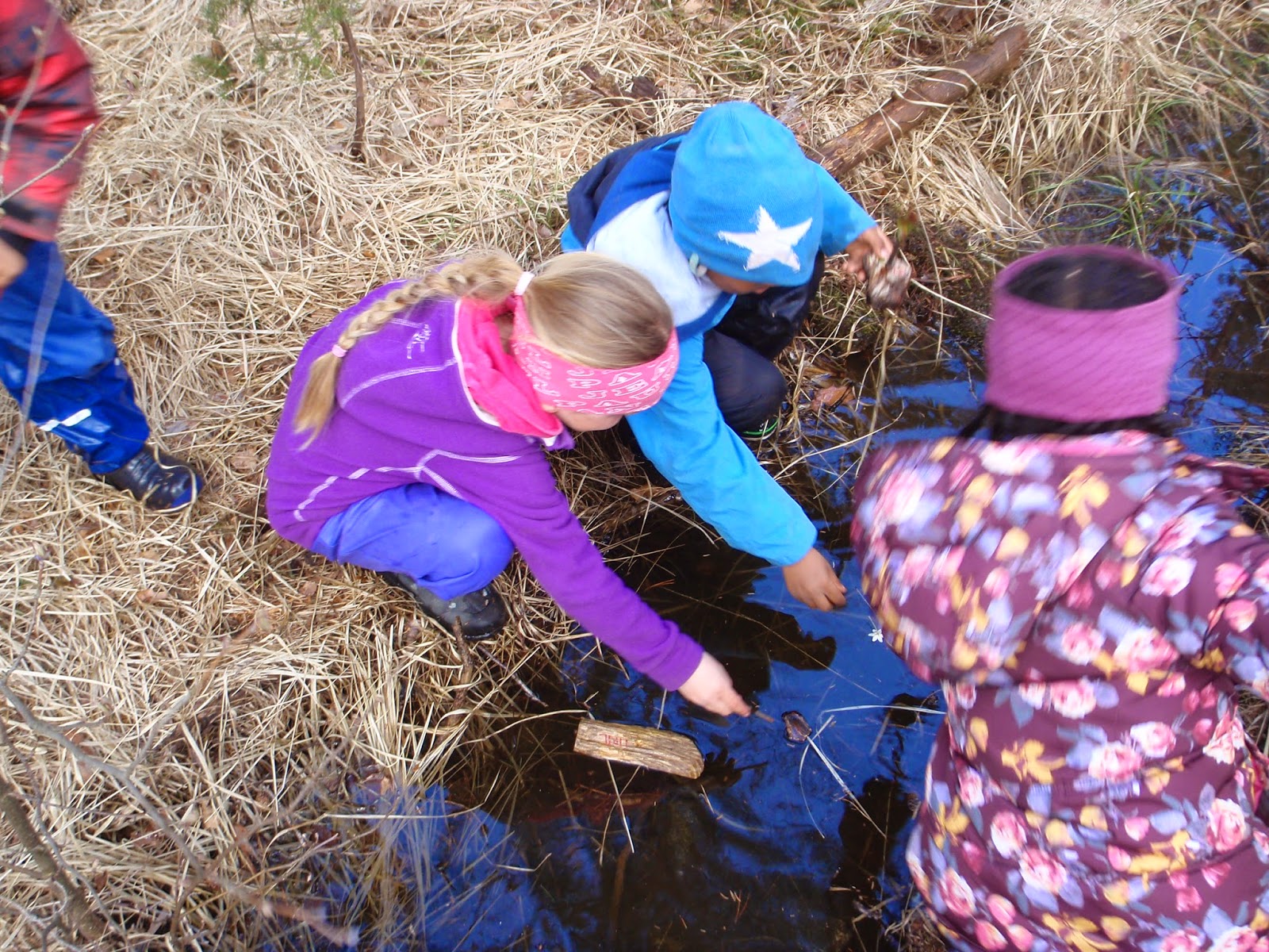 Grasmyr naturbarnehage