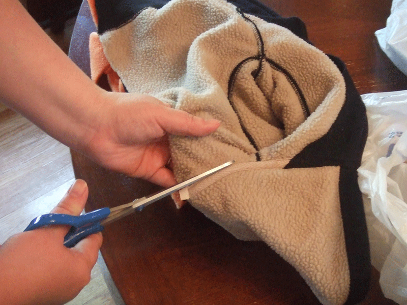 Women on a Mission: Mom Edition: LIVE FROM THE LAKE: MATCHING DINO HOODIES