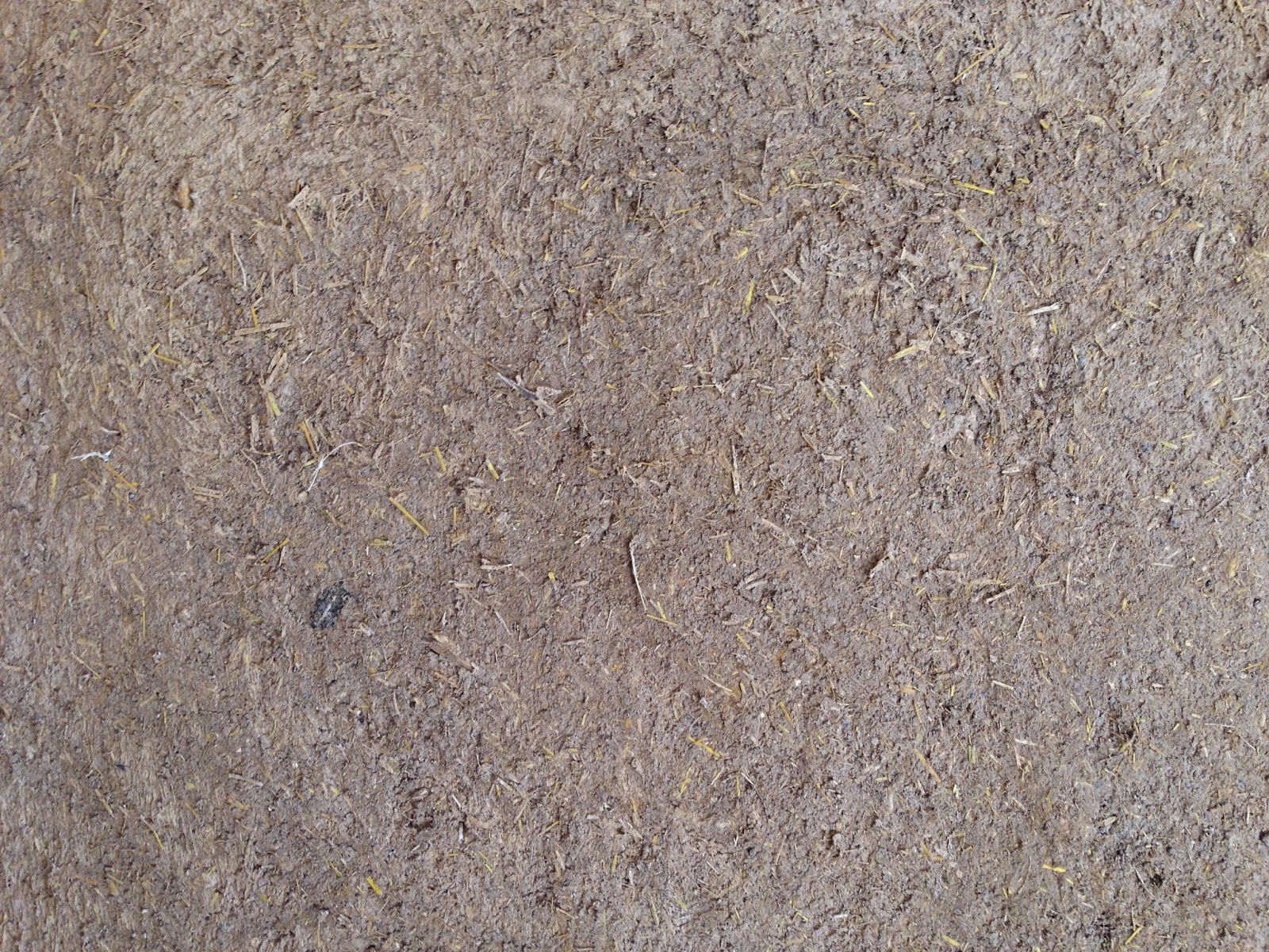 Construyendo orgánicamente / Organic building: Y vuelve el repello de muros