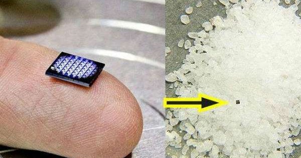 The world's smallest computer introduction; IBM record. ~ Abdul Basith