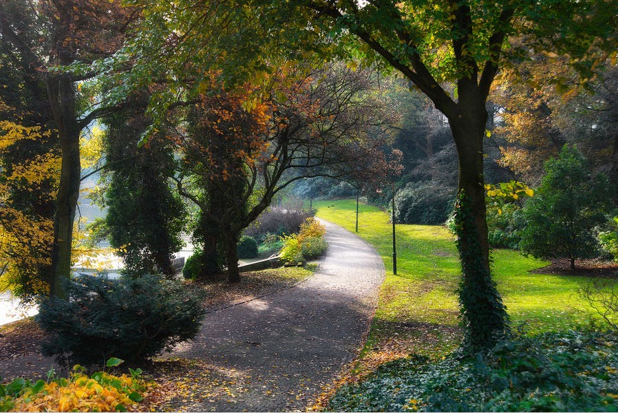BANCO DE IMÁGENES GRATIS: De paseo por el parque - The park