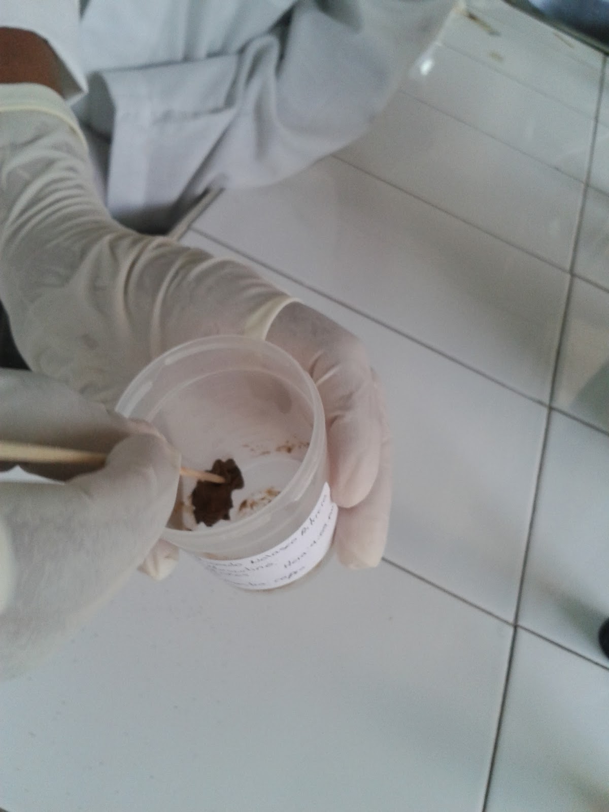 Laboratorio de Parasitologia (practicas): EXAMEN DIRECTO DE COPROLOGIA