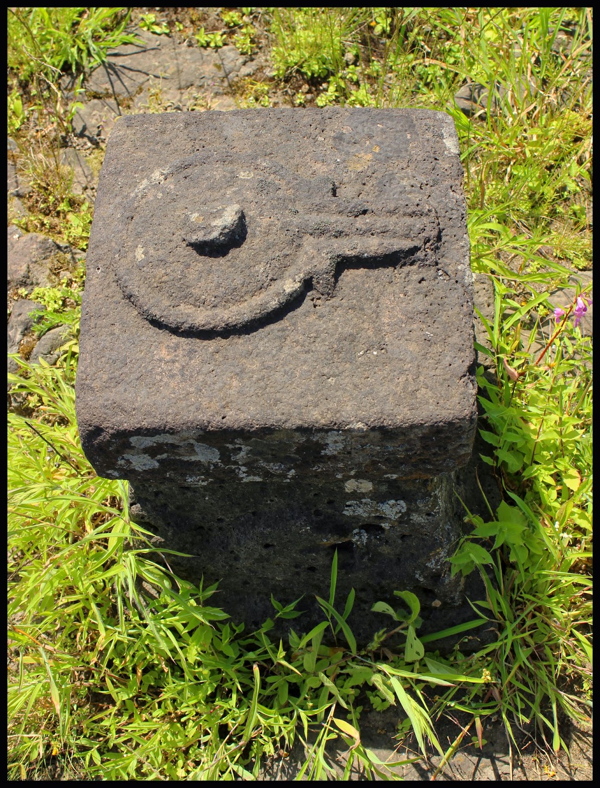 Rohida / Vichitragad Fort Maharashtra