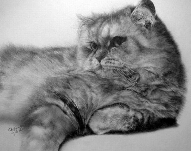 3. Incredible realistic pencil drawings (27 Pics) | Blog wallpapers gallery