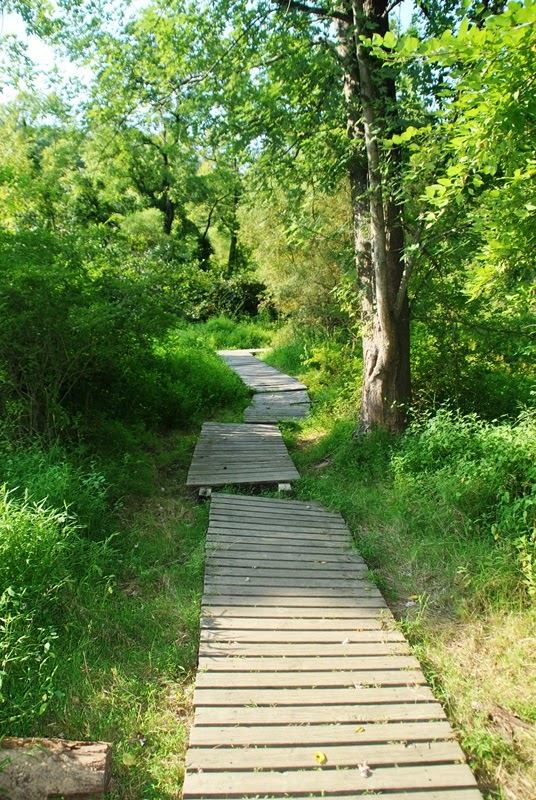 Southeastern PA Hiking: Horse-Shoe Trail - Great Valley Nature Center ...