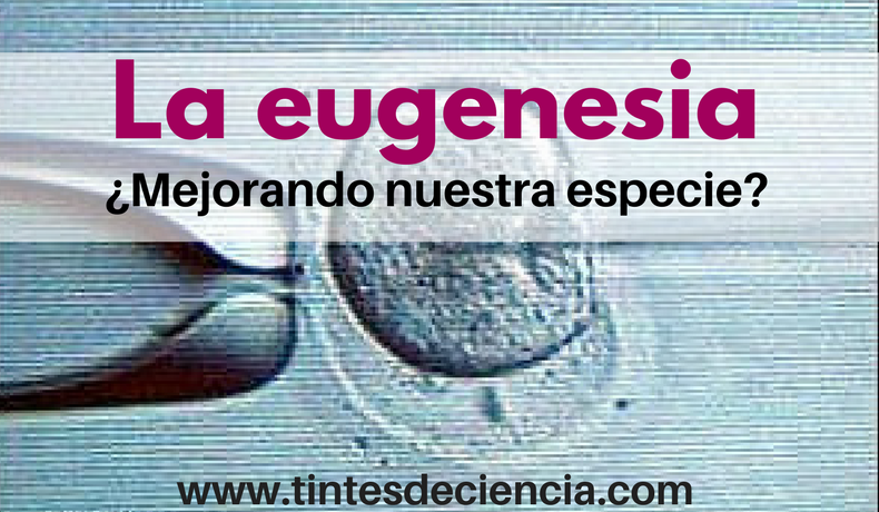 La eugenesia: ¿mejorando nuestra especie? | Tintes de ciencia