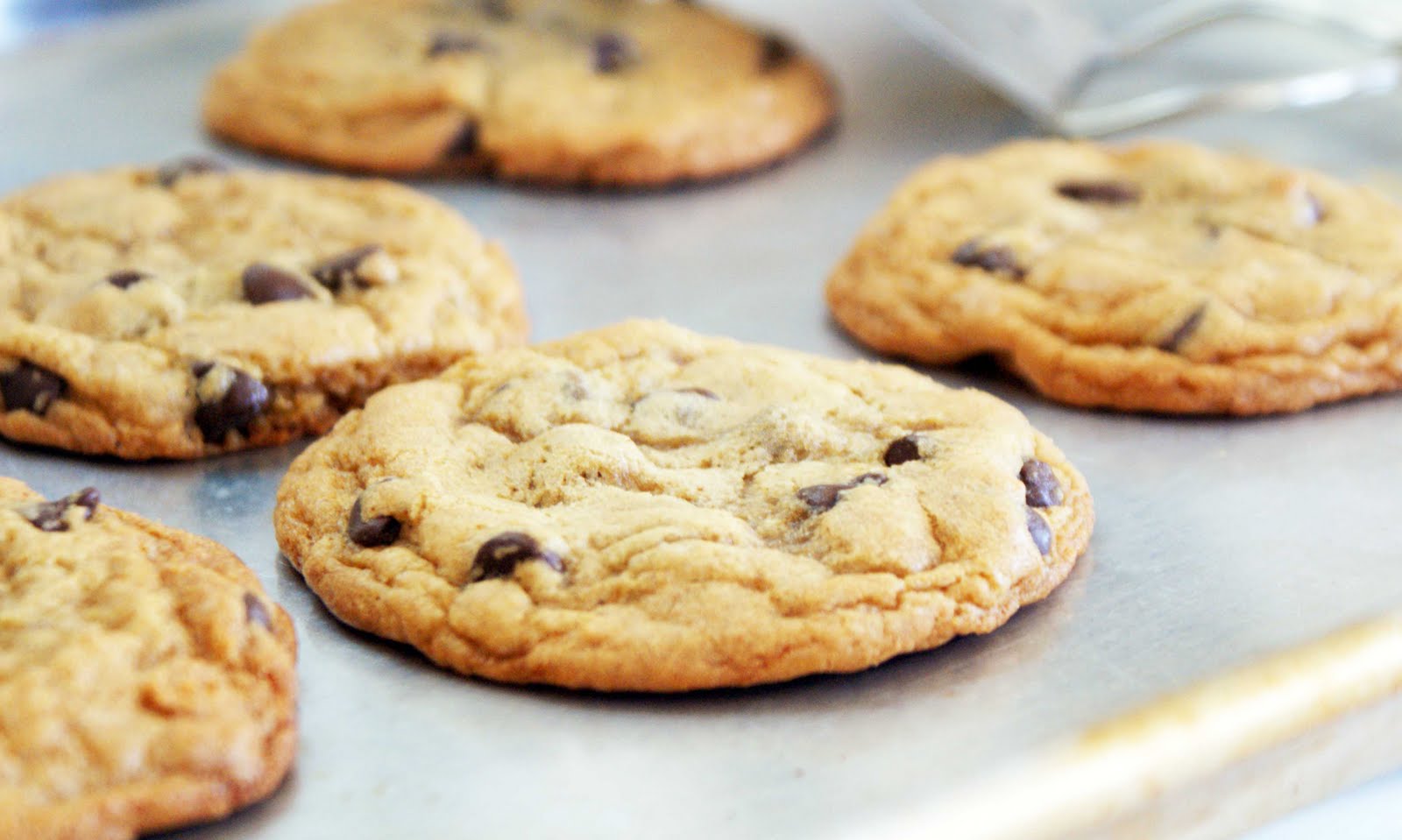 Chocolate Cookie Recipes